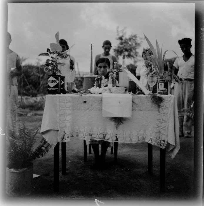 Catimbó (a raínha sentada á mesa)/Sebastiana Maria Angelo - Acervos ...